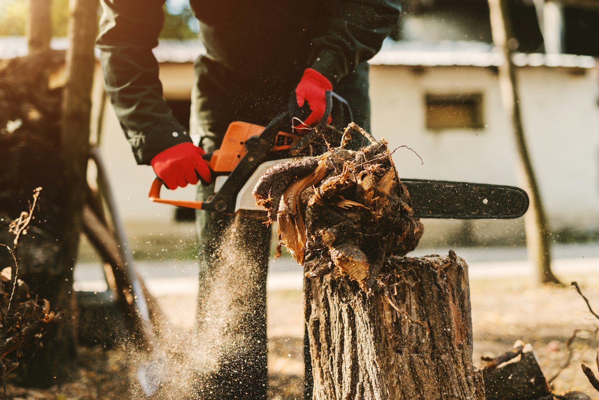 Safe Tree Removal Techniques to Protect Your Home and Family