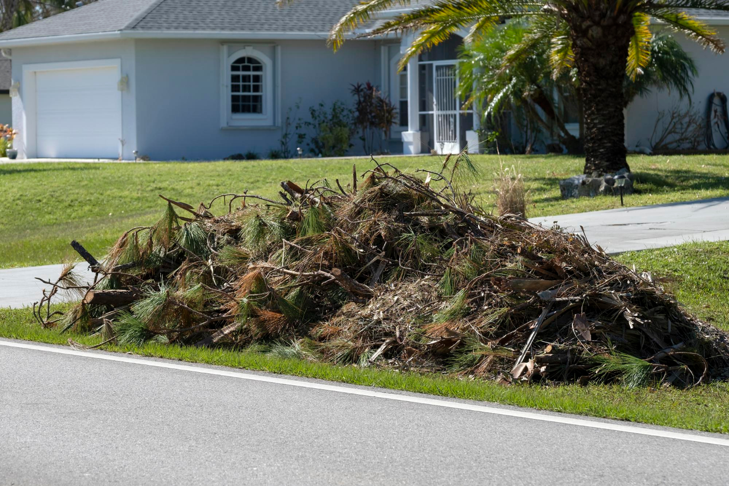 Easy Debris Removal Tips for a Clean and Safe Yard